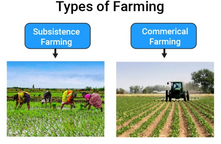 Types of Agricultural Practices-ಕೃಷಿ ಬಗ್ಗೆ ನಿಮಗೆ ಈ ವಿಷಯಗಳು ಗೊತ್ತೆ ...