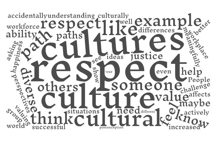 Respect for Cultural Diversity - ವೈವಿಧ್ಯತೆಯ ಗೌರವದ ದಿನ