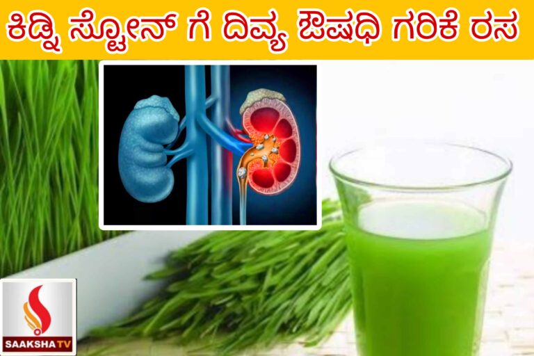 ಕಿಡ್ನಿ ಸ್ಟೋನ್‌‌‌ ಗೆ ದಿವ್ಯ ಔಷಧಿ ಗರಿಕೆ ರಸ - Saaksha TV